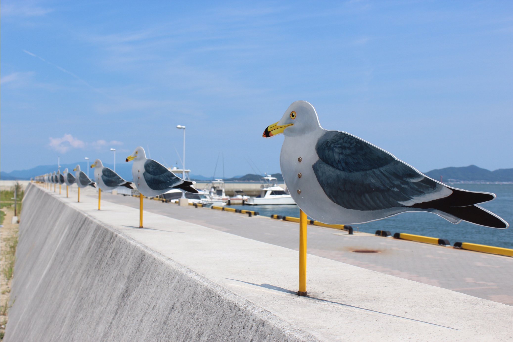 Summer Pocketsのキャラボイスと巡る！男木島・女木島の聖地巡礼ガイドツアー | Pokke「ポッケ」
